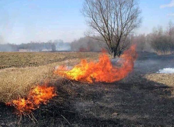 Сүхбаатар аймгийн Эрдэнэцагаан суманд ой хээрийн түймэр гарчээ